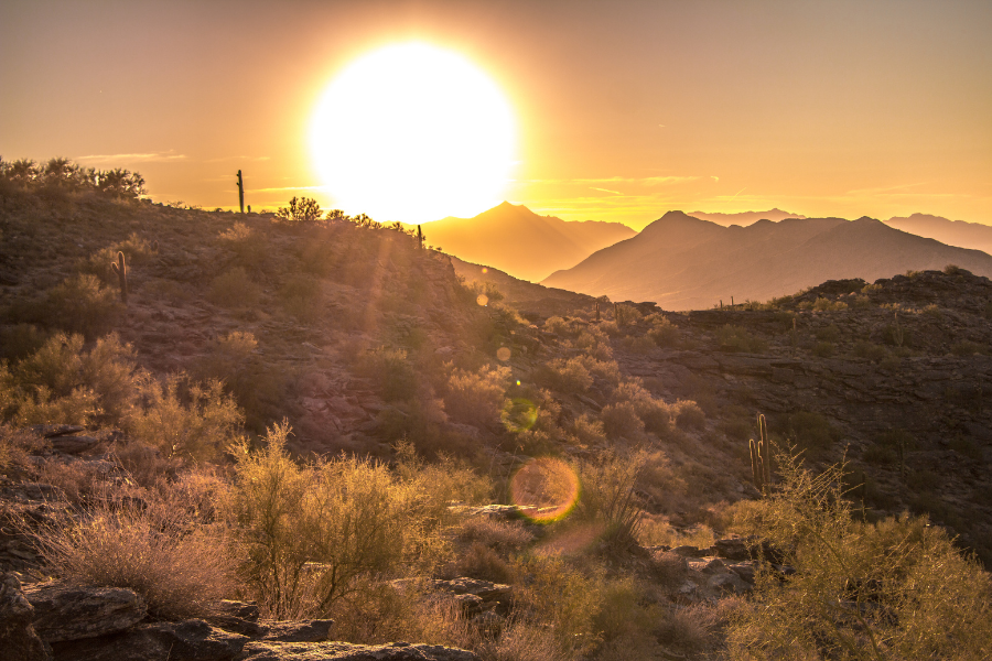 Ibogaine: A First-Timer’s Guide to the “Reset” Medicine for Addiction ...